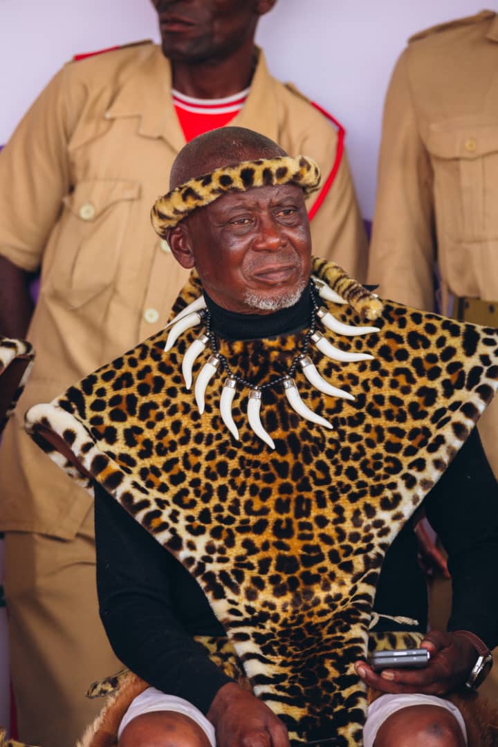 abaNgoni Amakhosi (Inkosi Lineage)